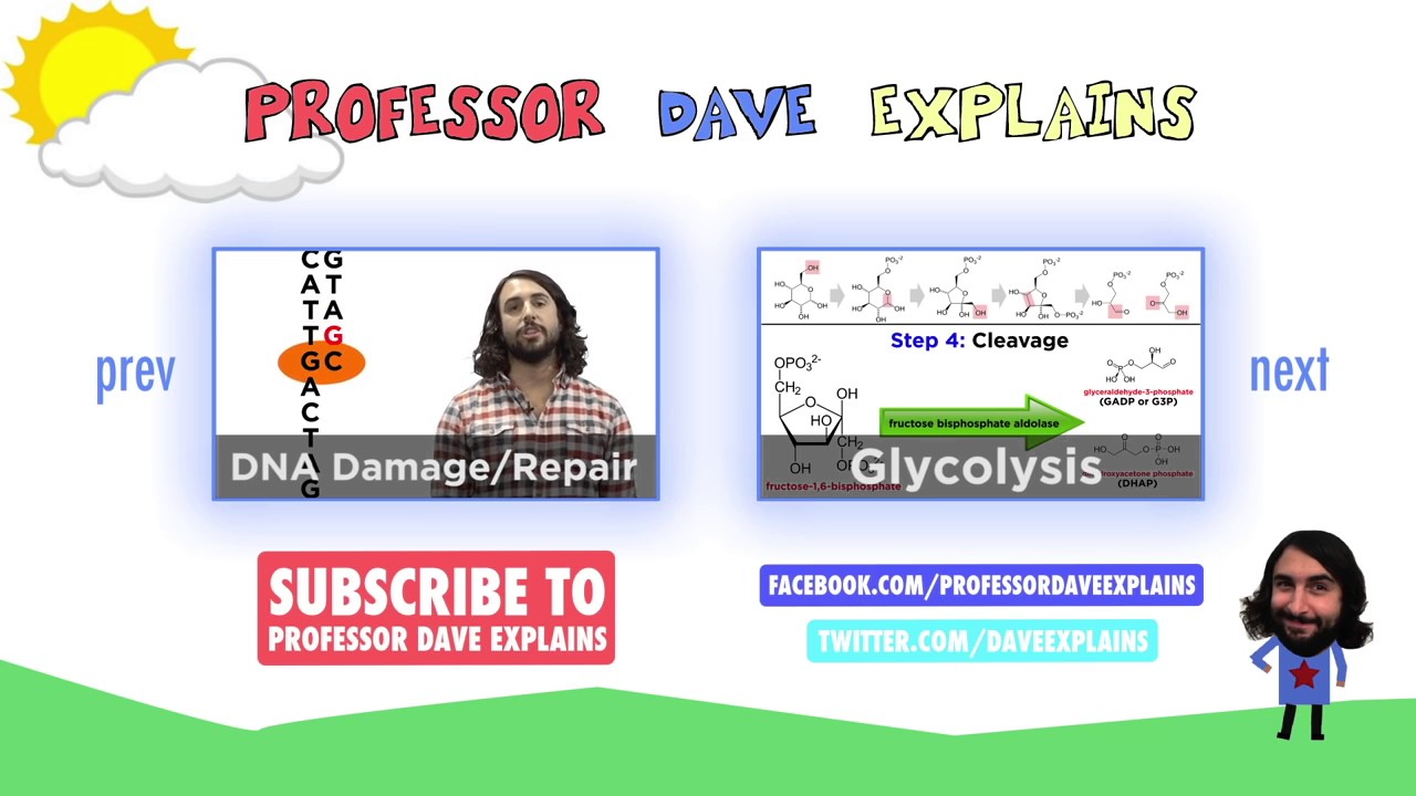 Professor Dave Explains Outro 1 Hour - YouTube