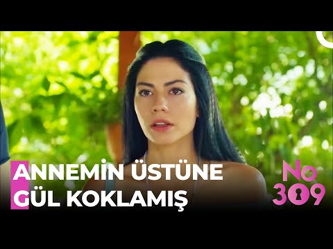 Lale'ye Ağır Gelen Baba Gerçeği - No:309