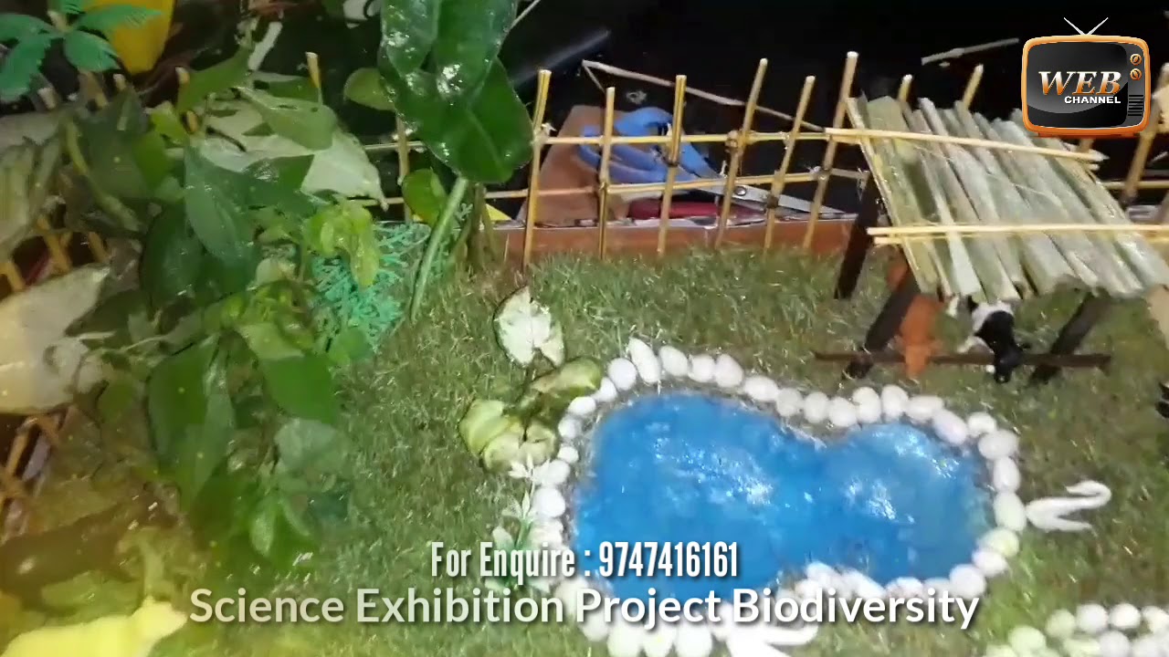 Science Exhibition Biodiversity - YouTube