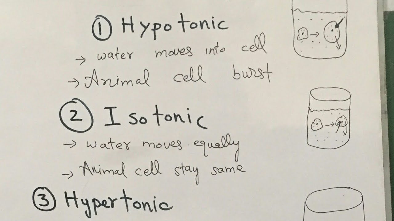 Tonicity, Hypotonic, Isotonic and Hypertonic - YouTube
