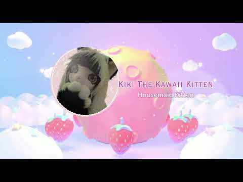 Kiki The Kawaii Kitten Intro video for channel