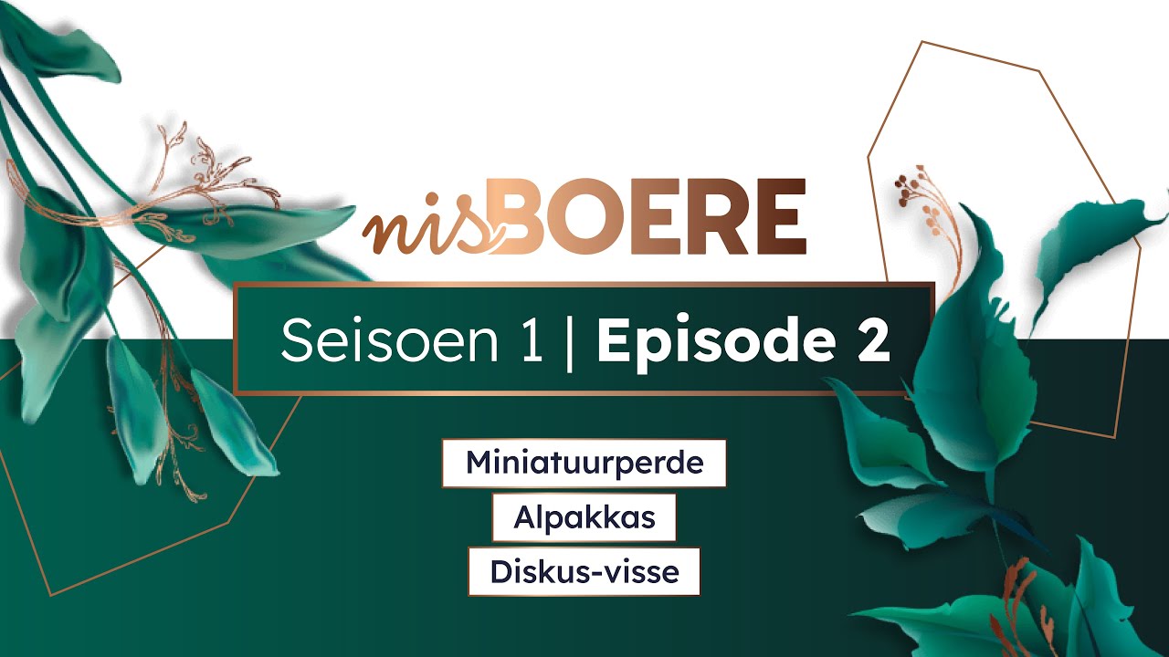 nisBOERE 1 | Episode 2 | Miniatuurperde, Alpakkas en Diskus-visse - YouTube
