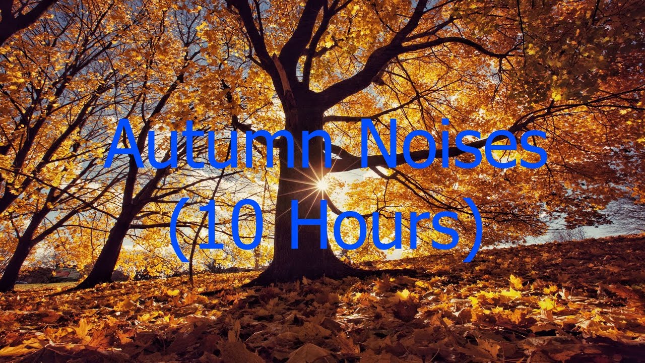 Autumn Atmosphere: Peaceful Nature Sounds (10 hours) - YouTube