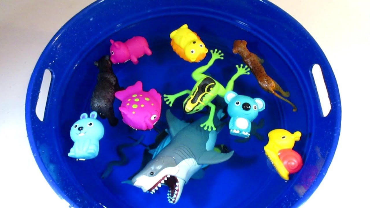 Learn Animals for Kids Children Fun Toy Animals Educational Video - YouTube