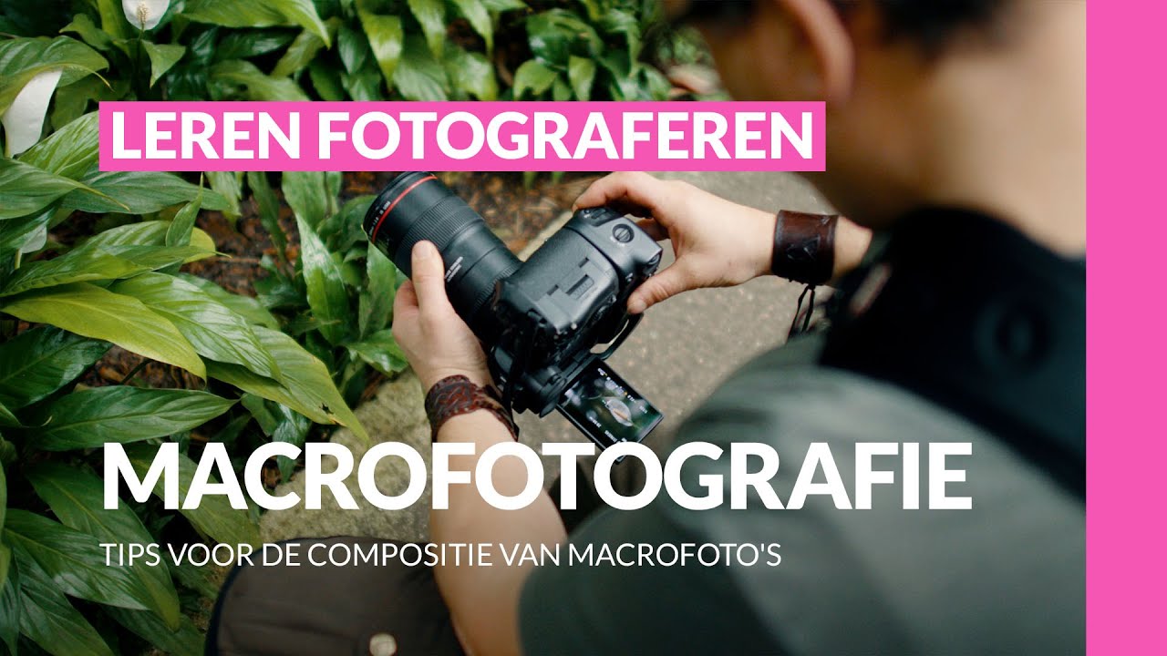 7 tips voor de compositie van macrofoto's | Macrofotografie | Leren ...