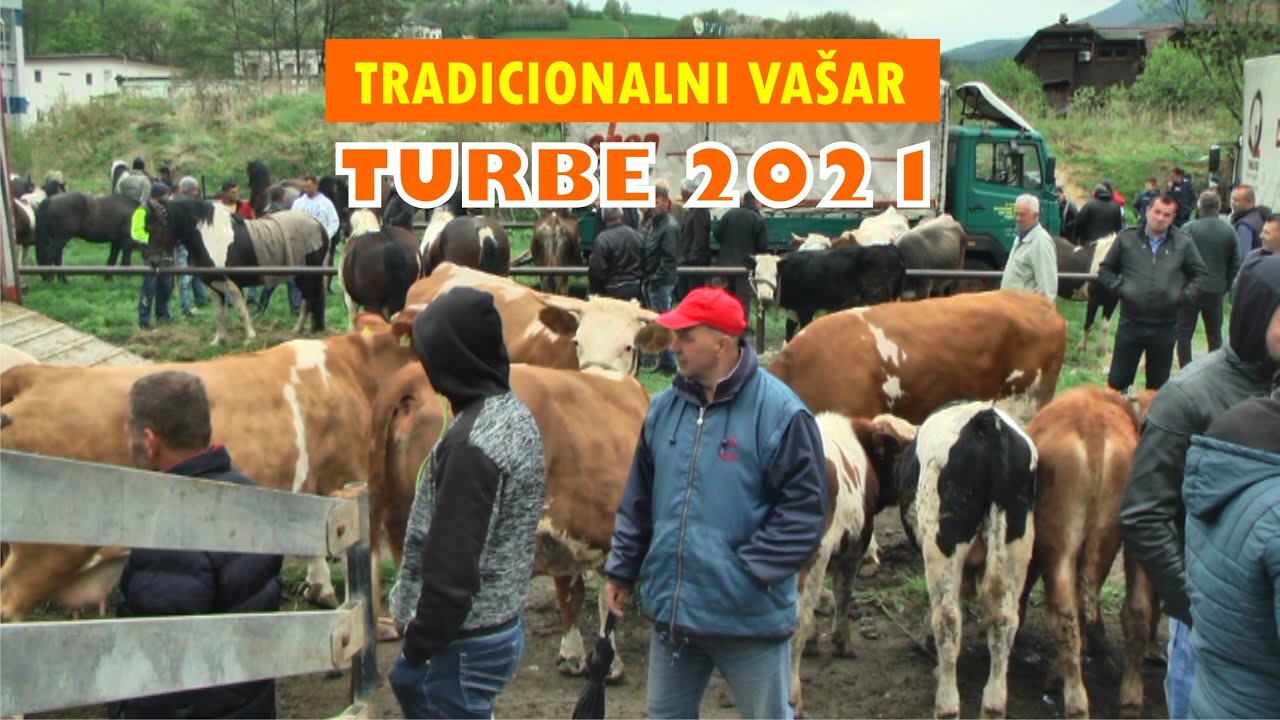 - TRADICIONALNI VASAR TURBE TRAVNIK 2021 / Fair in Bosnia - YouTube