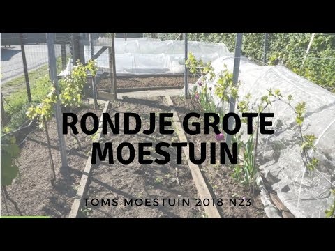 TM18#24 : Rondje begin mei in de grote moestuin - YouTube