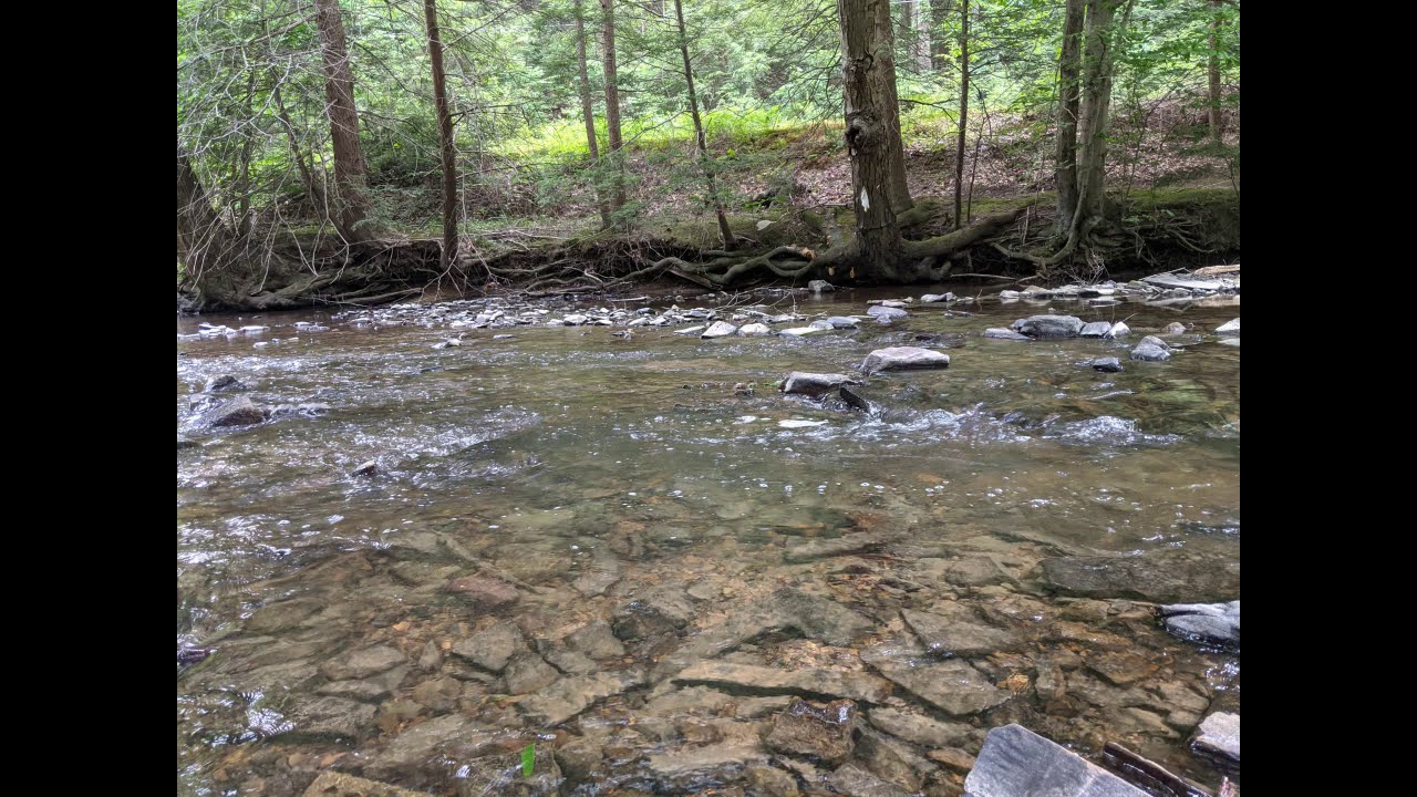 Babbling Brook in Deep Woods - Sounds of Nature - YouTube