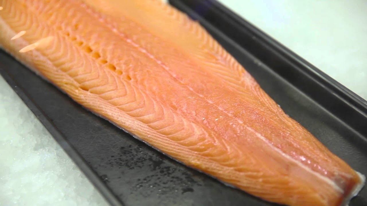 Seattle Flying Fish Market Youtube at Michael Robin blog