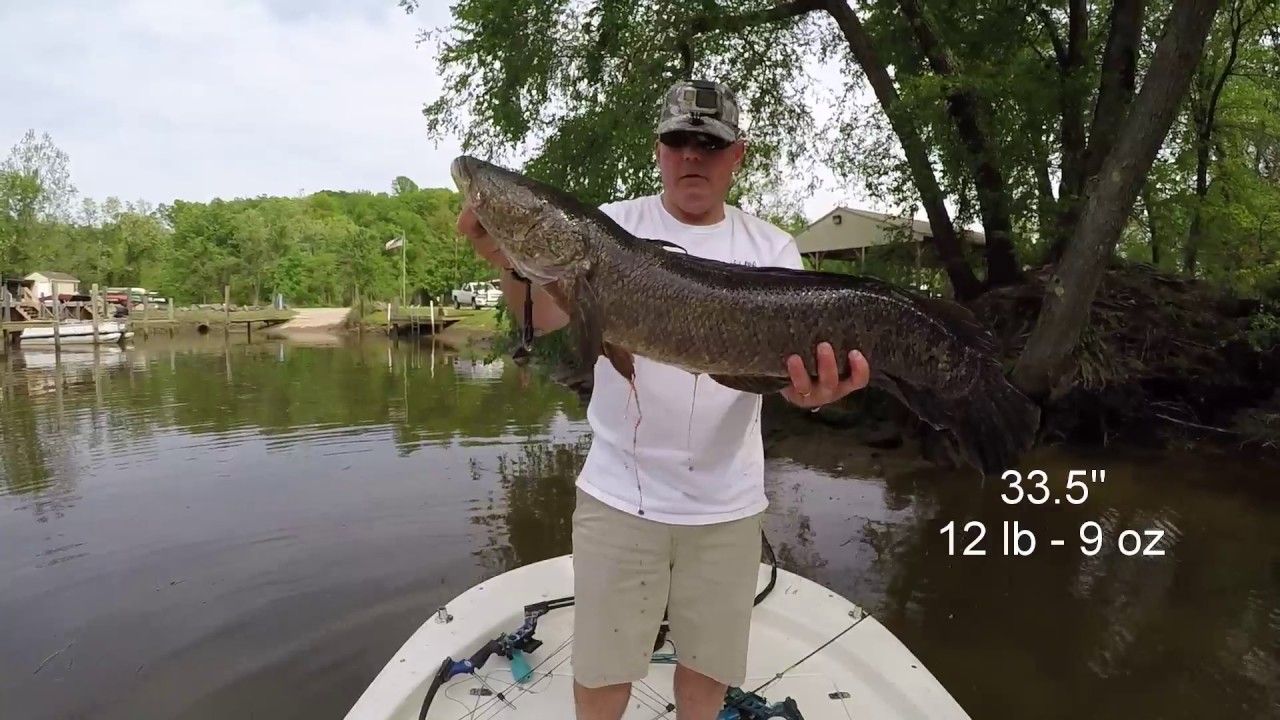 Mike Z Bowfishing - A Perfect Day for Potomac River Snakeheads - April ...