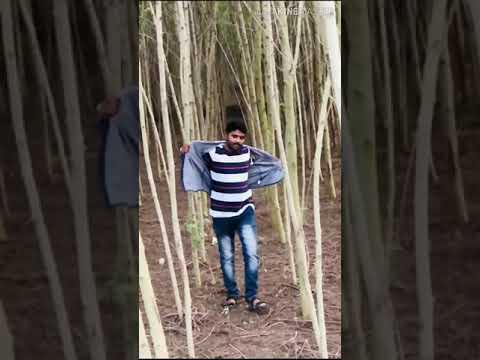 sitharala sirapadu song from ala vykuntapuram lo