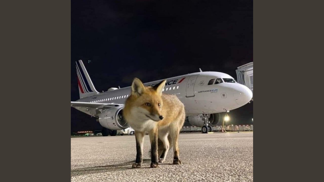 tuci (feat. disoc8) - YouTube