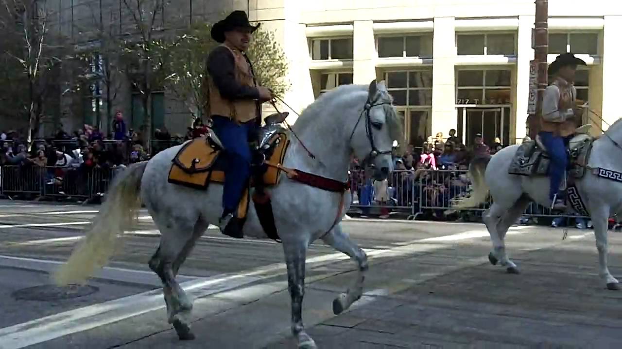 2010 Houston Livestock Show and Rodeo DANCING HORSES!! - YouTube