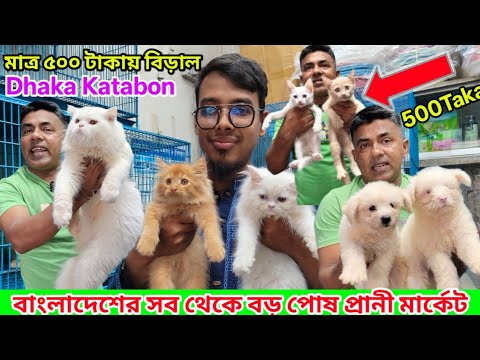 বাংলাদেশর সব থেকে বড় পোষ প্রানী মার্কেট | Katabon Animal market in ...