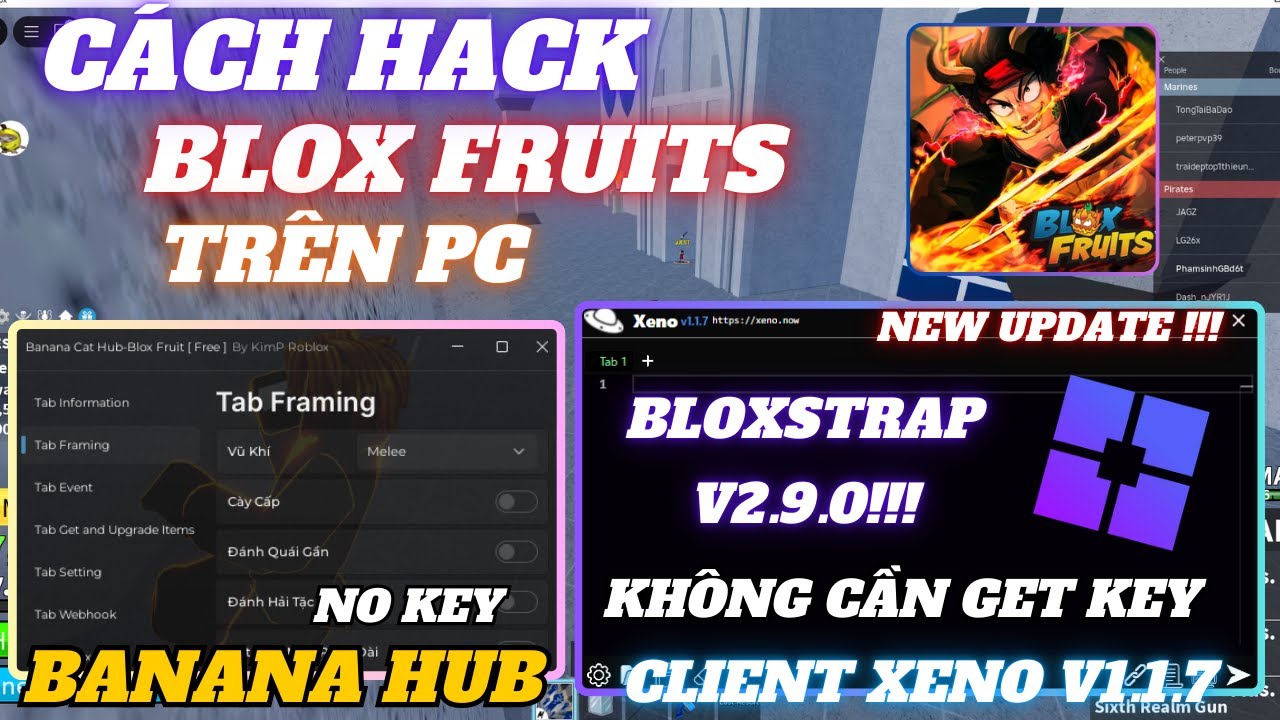 CÁCH HACK BLOX FRUIT TRÊN PC BẰNG CLIENT XENO 1.1.7 MỚI NHẤT, KHÔNG CẦN ...
