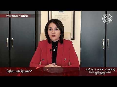 Üveit Hastalığı ve Tedavisi - Prof. Dr. F. Nilüfer Yalçındağ