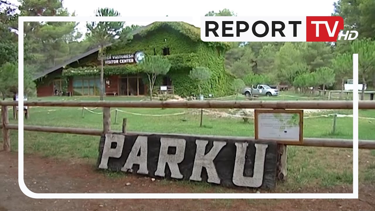 Parku i Divjakës, pezullohen punimet për traun! Braçe: E papranueshme ...