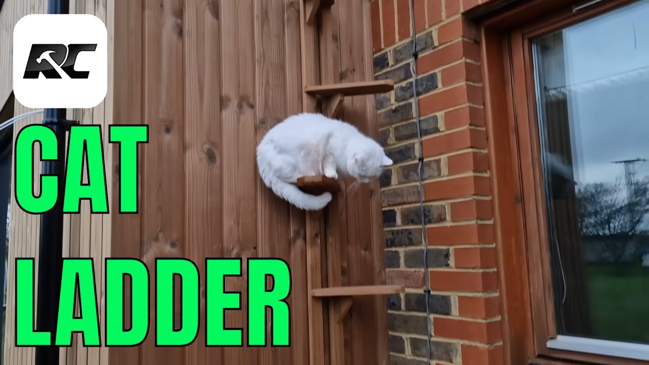 How I Created An Amazing Cat Ladder! Must-watch Tutorial! - YouTube