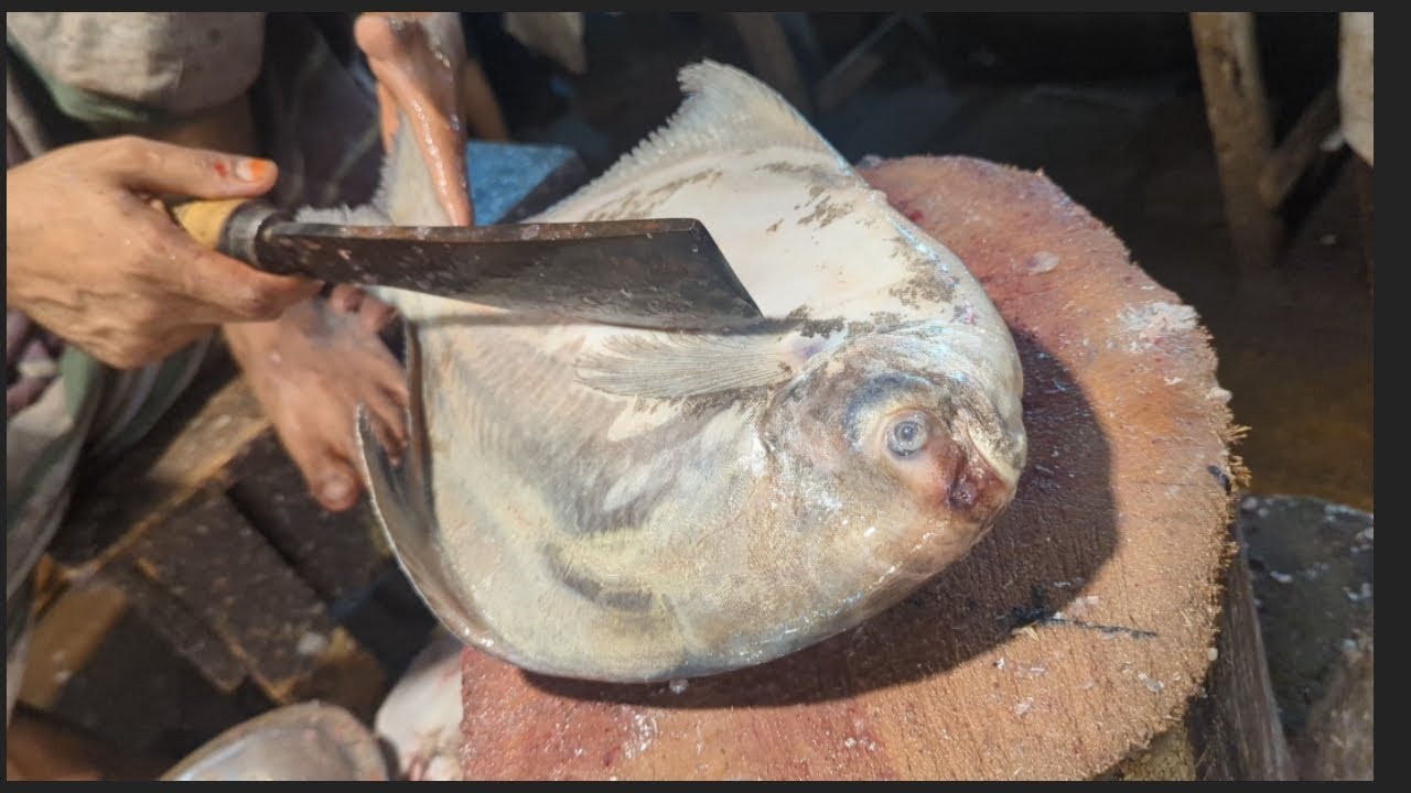 Incredible Delicious Pomfret Fish Cutting Skills In Bangladesh Fish ...