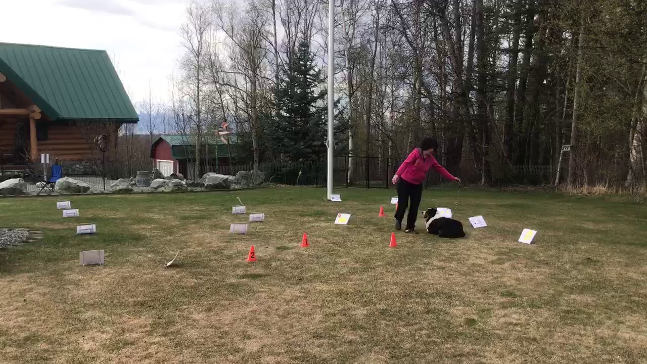 Rally Archer - YouTube