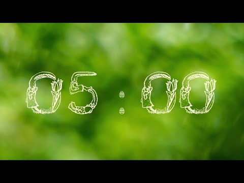 Timer for Easter: 5-Minute Countdown with Music - YouTube