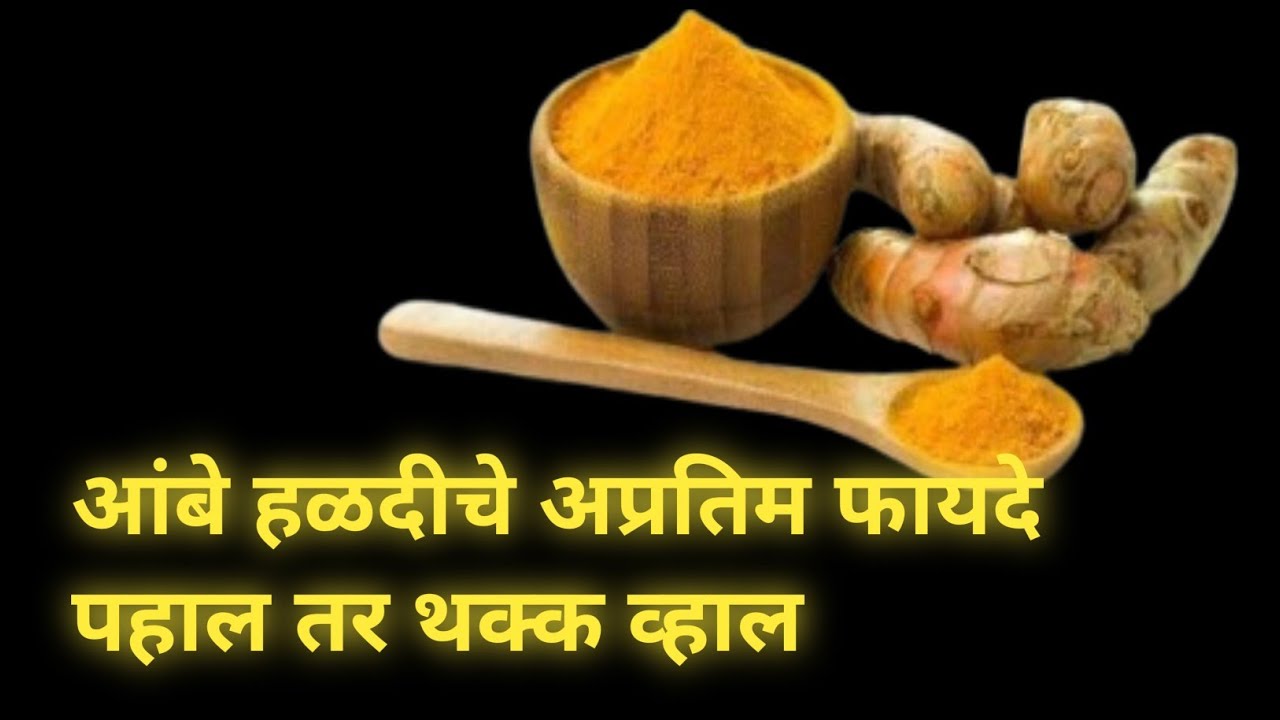 आंबेहळदचे गुणकारी फायदे/Ambe Haldiche Fayde/Benefits Of Ambe Halad ...