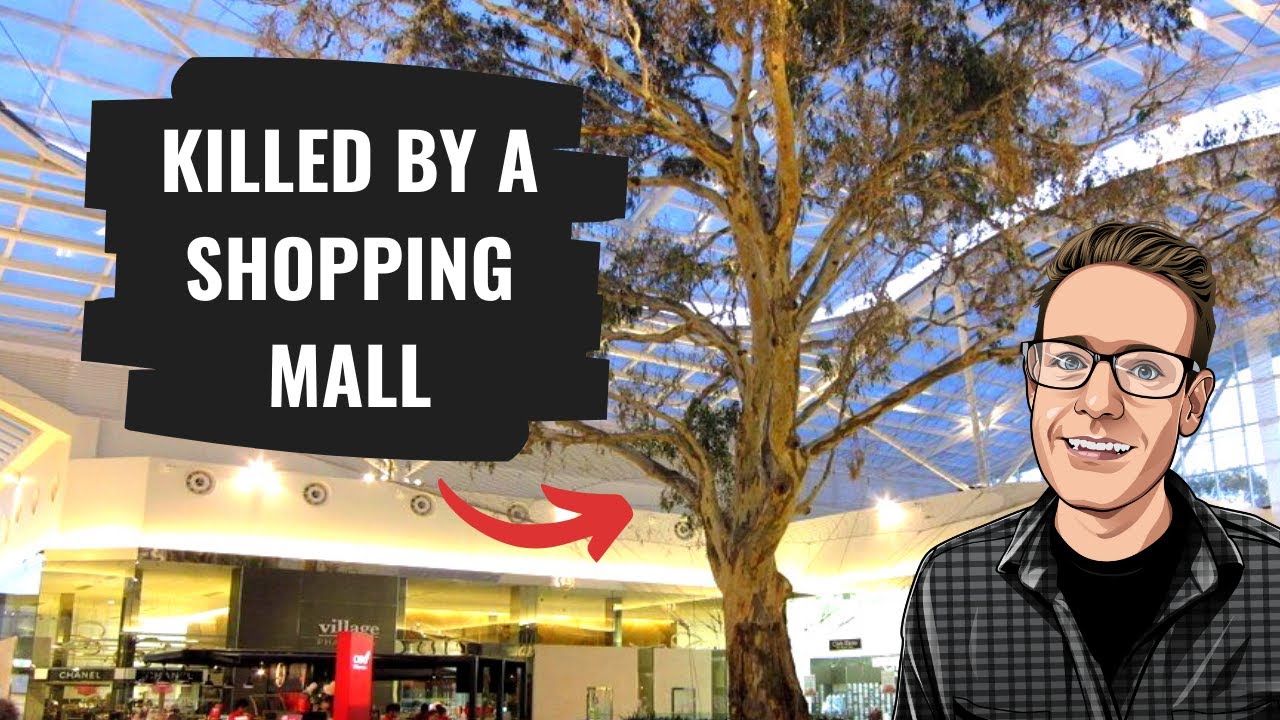 Death of a 100 Year Old Gum Tree | Burnside Village Tree - YouTube