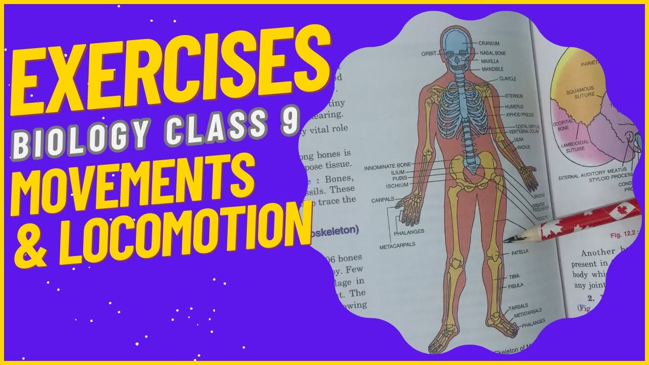 Exercises: Movements & Locomotion || Biology || ICSE || CBSE || Class 9 ...