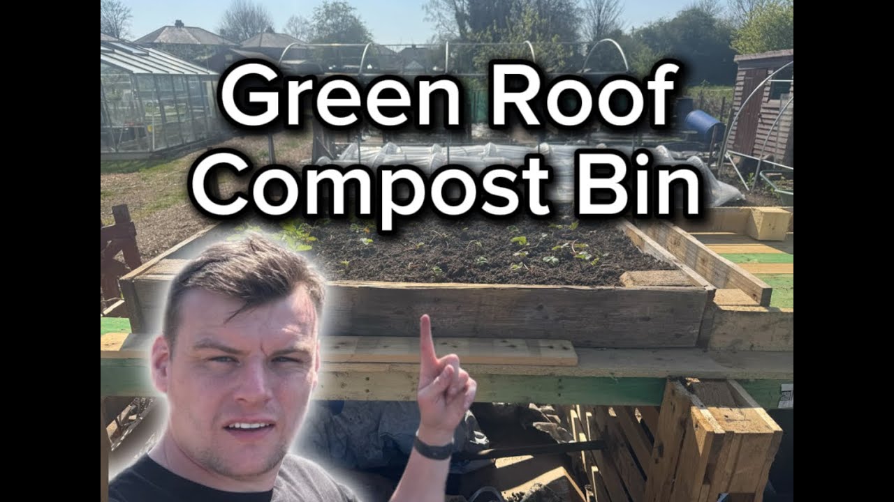 Making A Green Roof Planter On Top Of My Compost Bin and Seedling ...