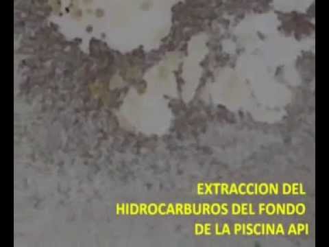 Ecosafeems - YouTube