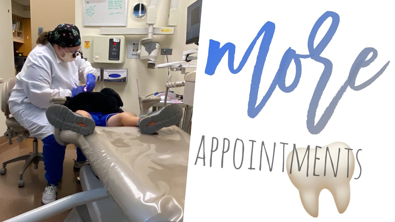 Vlog 1746 - Dentist & Painting Rocks 🦷🪥🖌️ - YouTube