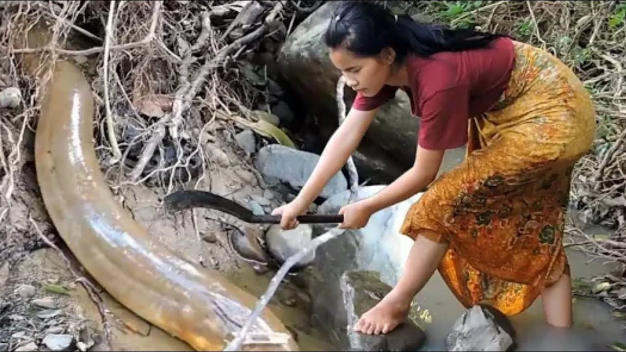 Pretty girl Find grilled eel in river - Pretty girl cook eating ...