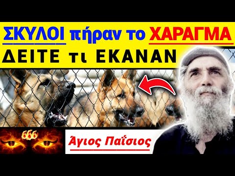 ☢️Στις ΗΠΑ έκαναν σε ΣΚΥΛΙΑ το ΧΑΡΑΓΜΑ αντίχριστου 🔵 ΔΕΙΤΕ τι έκαναν τα ...