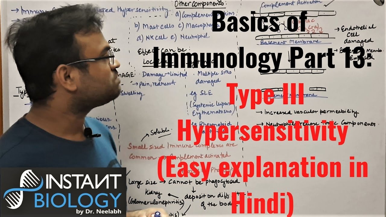 Basics of Immunology Part 13: Type 3 Hypersensitivity - YouTube