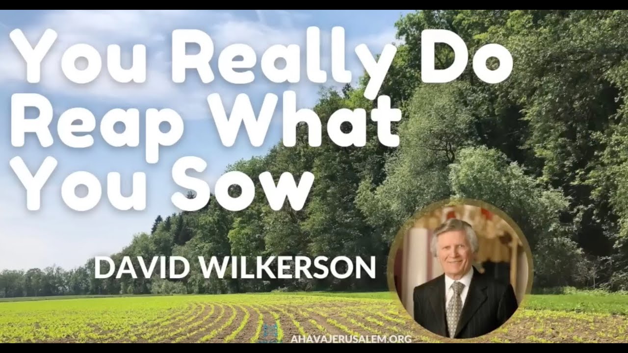 You Really Do Reap What You Sow by David Wilkerson - - Bible Portal