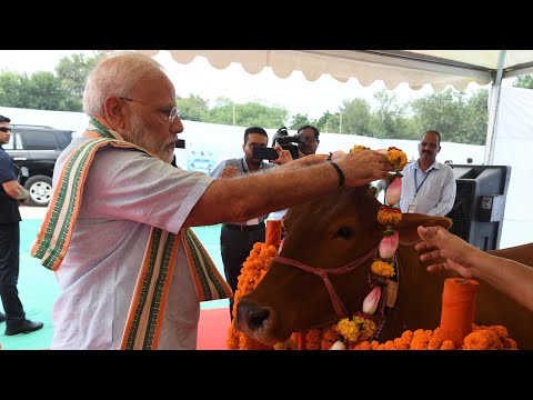 PM Modi worships cows, visits related exhibition