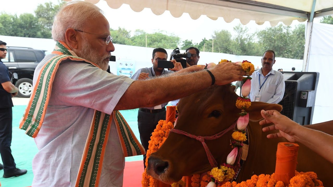 PM Modi worships cows, visits related exhibition - YouTube