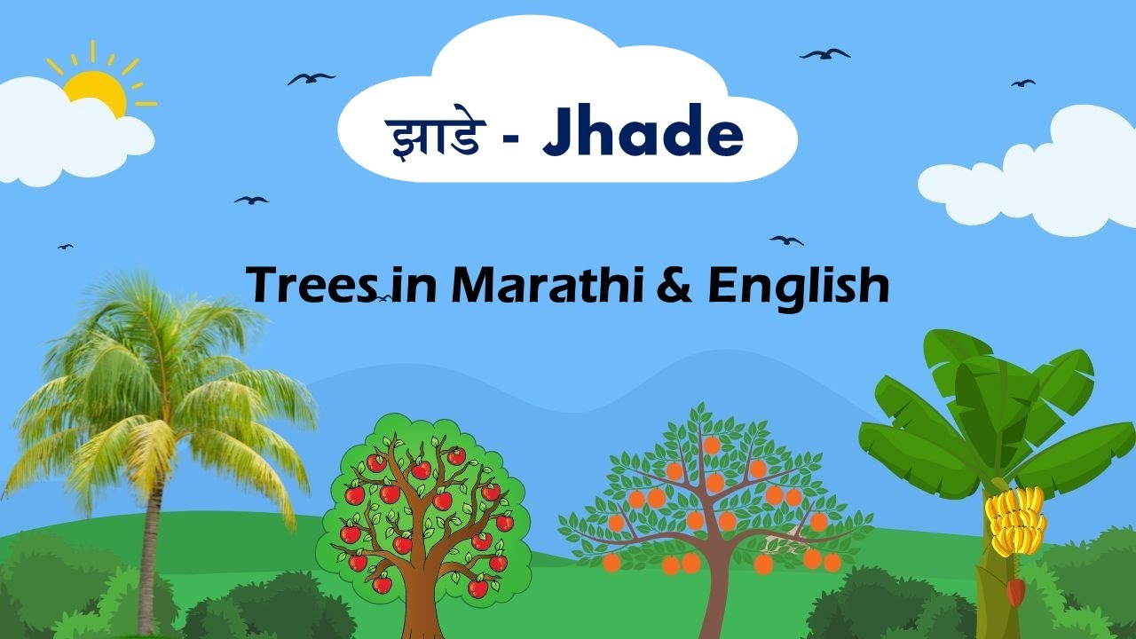 झाडे (Jhade) - Trees in Marathi & English - YouTube
