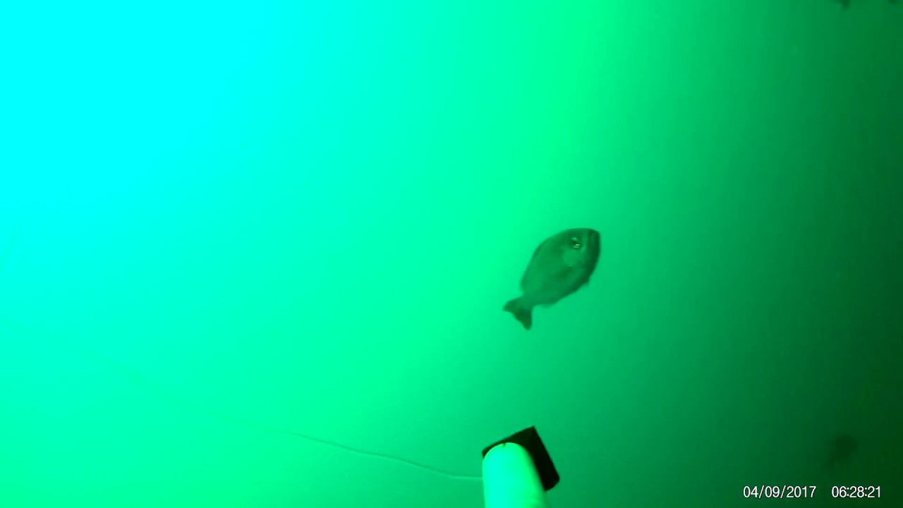 Deep Sea Structure?! - YouTube