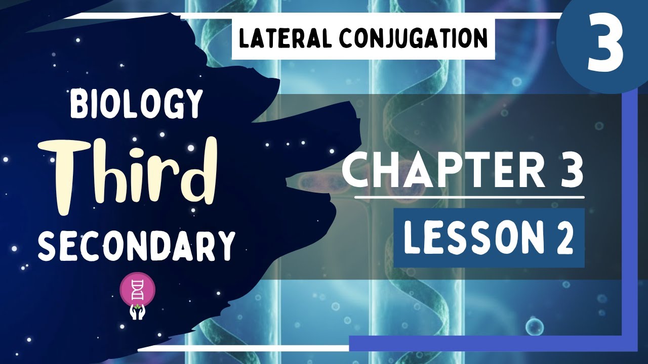 Biology 3rd Secondary Egypt - Chapter 3 - Lesson 2 - P3 (Lateral ...