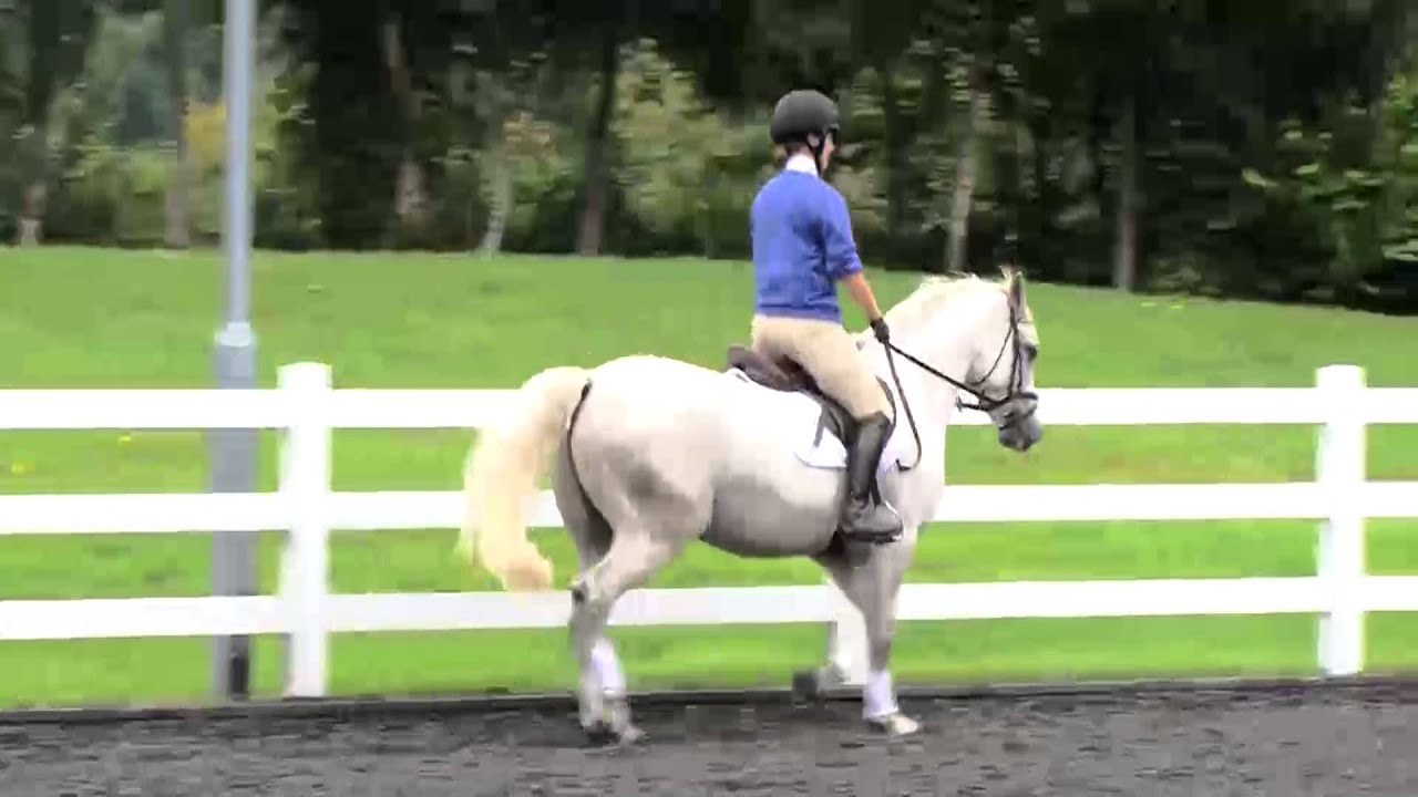 Riding Simple School Movements - YouTube