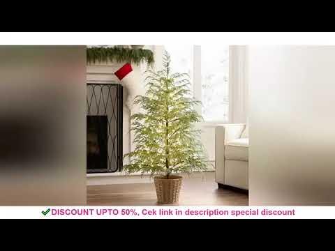 My Texas House Potted 4FT Pre-Lit Cypress Artificial Christmas Tree 100 Lights - YouTube