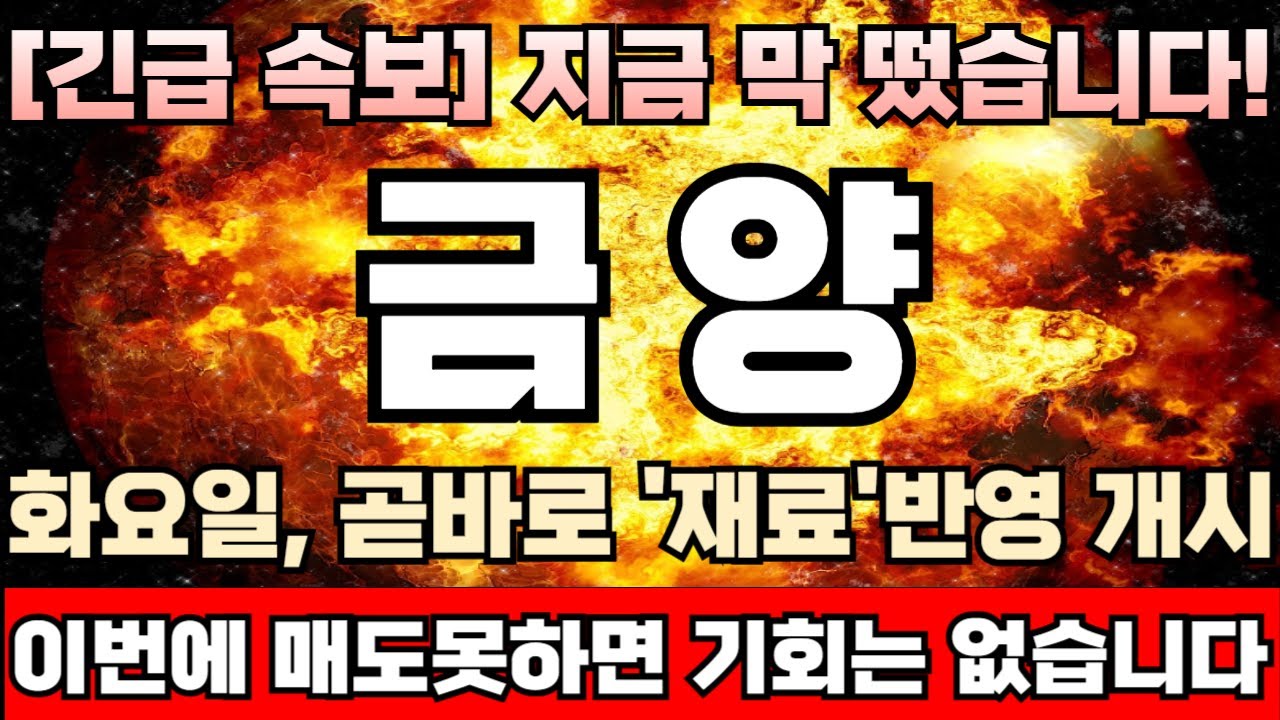금양 주가전망 ‘유상증자 급브레이크 악재 겹쳐도 걱정 없는 단 하나의 이유 외국인 류회장 4천억 무상증여 및 제3자배정 유증 동시 진행 돌파구는 있다 금양