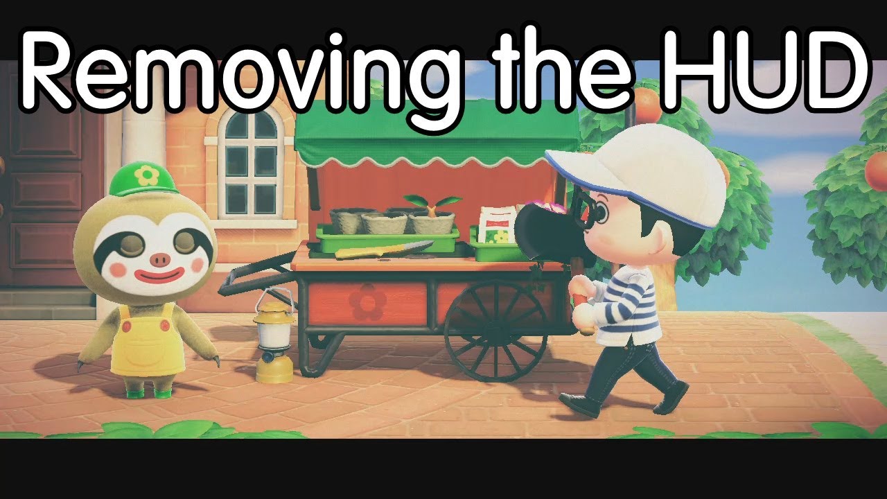 How to remove the HUD in Animal Crossing: New Horizons (perfect for ...