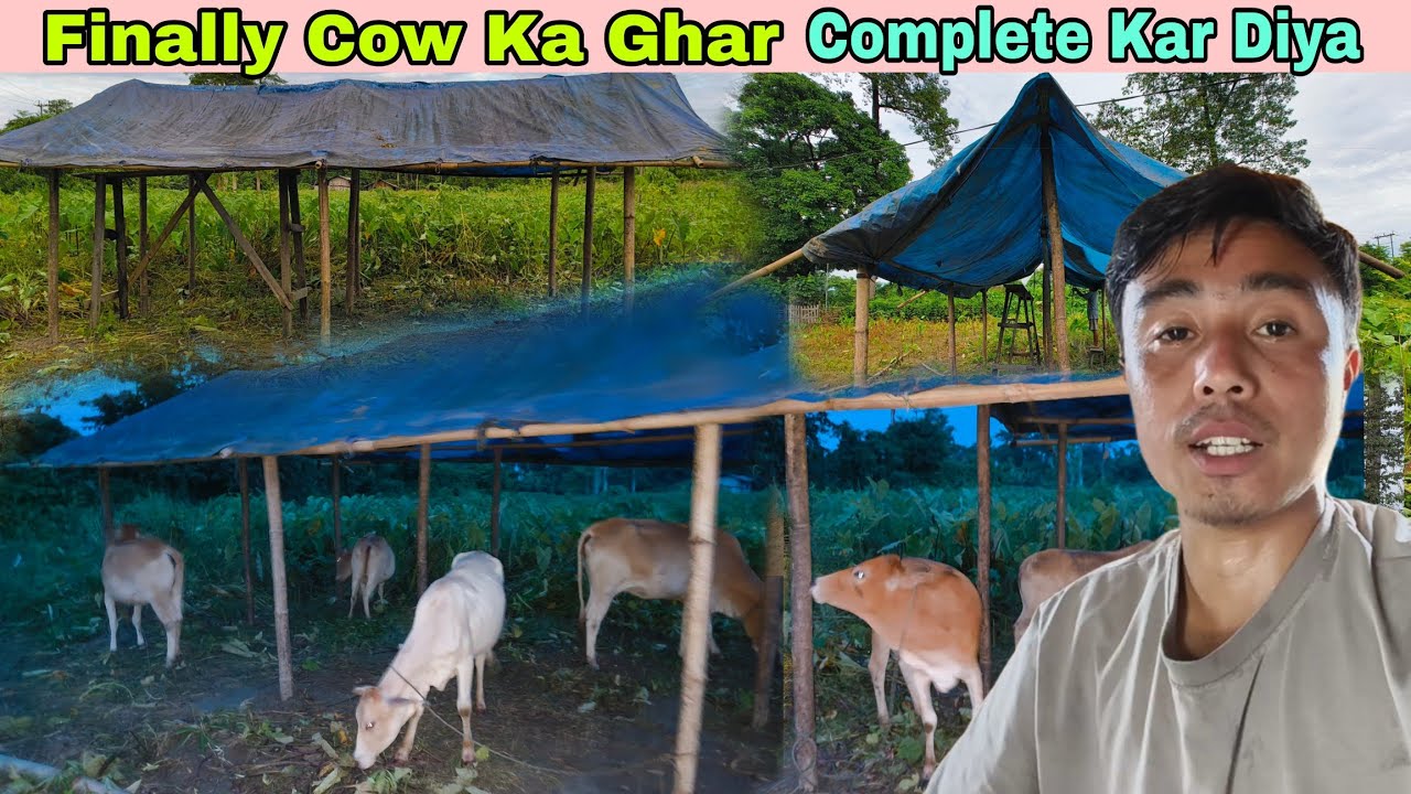 Finally Cow Ka Ghar Complete Ho Gaya 😍 || My Daily vlogs - YouTube