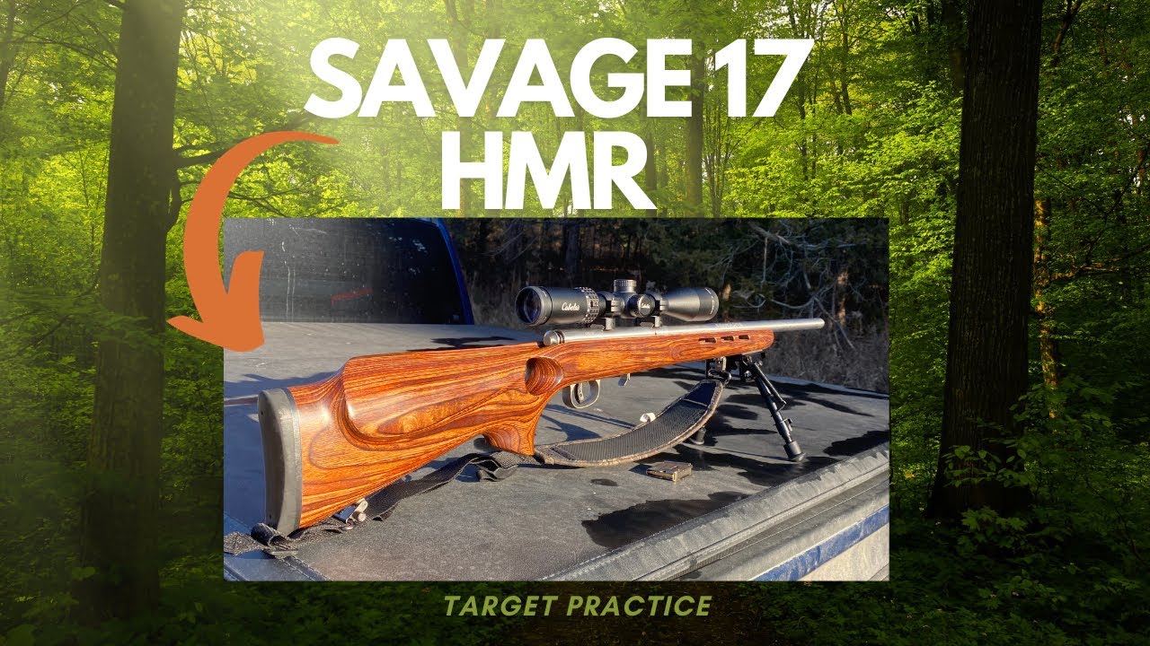 Shooting a 17 HMR 100 & 200 Yards - YouTube