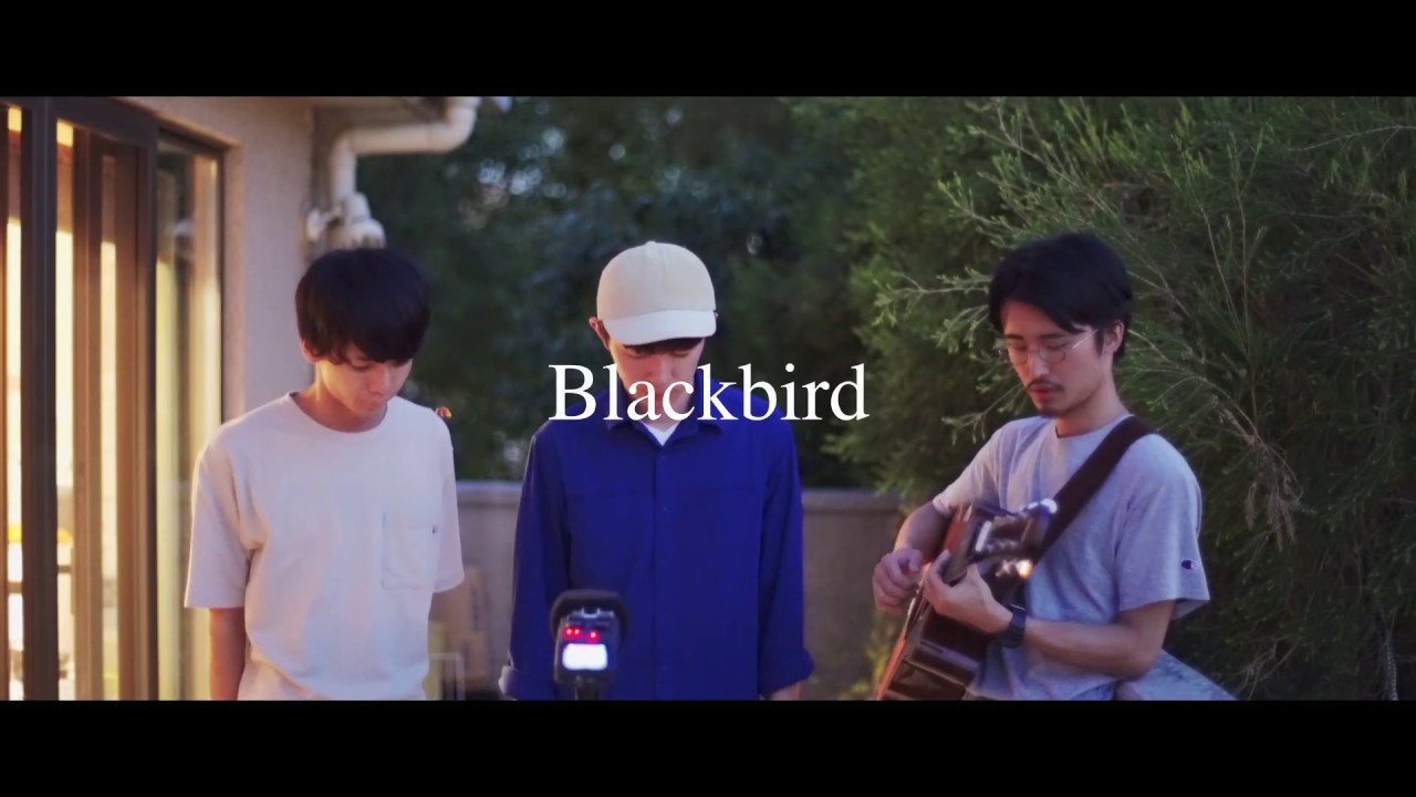 Blackbird - The Beatles Cover (Live Session) - YouTube