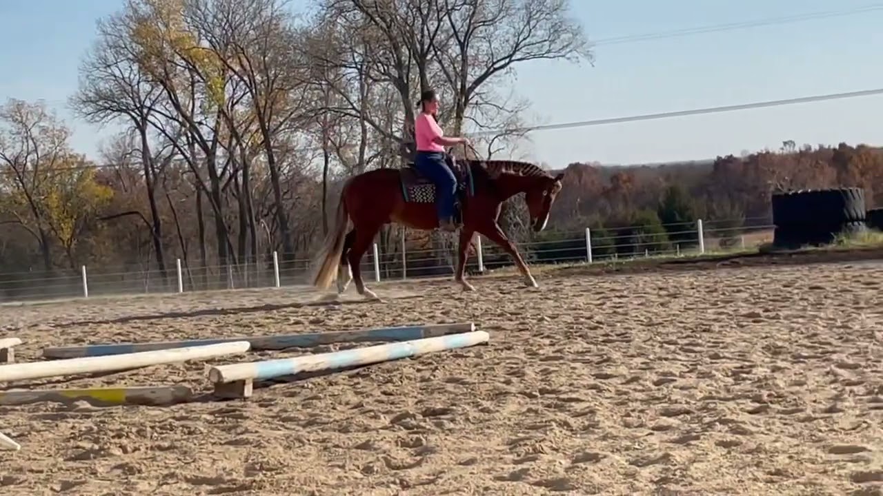 Born Vested AQHA gelding - YouTube