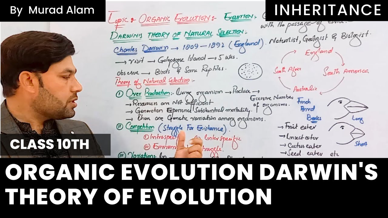 Organic Evolution Darwin's theory of evolution l Biology 10th in Urdu ...