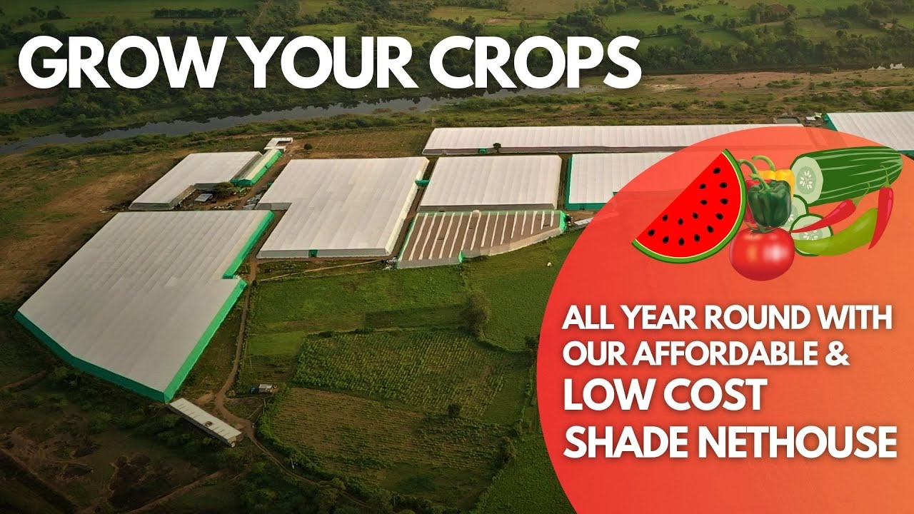 Low-Cost Wire Rope Shade Net House : The Perfect Solution for Hot & Dry ...